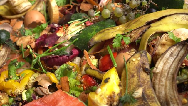 Biowaste Images – Browse 452 Stock Photos, Vectors, and Video | Adobe Stock