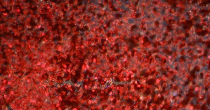 Milted Bilder – Durchsuchen 7,078 Archivfotos, Vektorgrafiken und ...