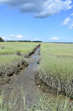 รูปภาพMire – เลือกดูภาพถ่ายสต็อก เวกเตอร์ และวิดีโอ89,172 | Adobe Stock