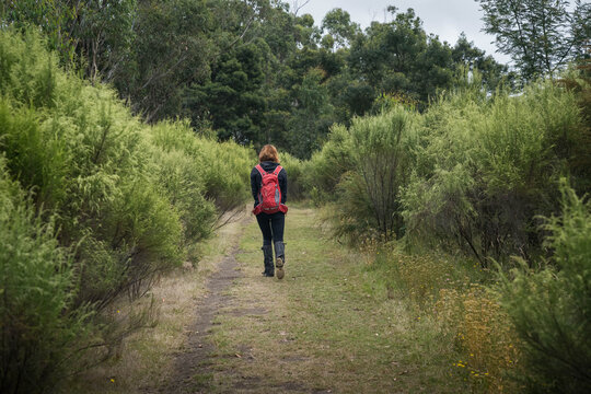 Bushwalking Images – Browse 2,790 Stock Photos, Vectors, and Video ...