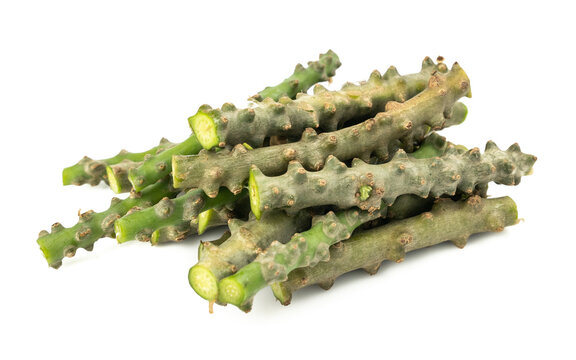 รูปภาพGiloe – เลือกดูภาพถ่ายสต็อก เวกเตอร์ และวิดีโอ552 | Adobe Stock