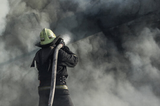 Eradicate Images – Browse 91,989 Stock Photos, Vectors, and Video ...