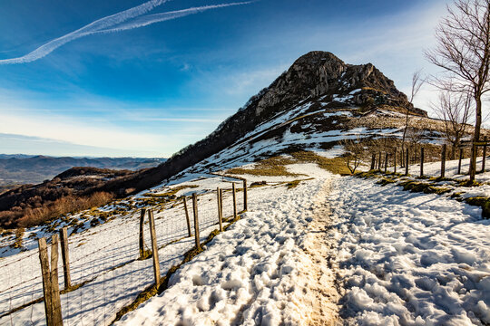 Katarrh Bilder – Durchsuchen 35,304 Archivfotos, Vektorgrafiken und ...