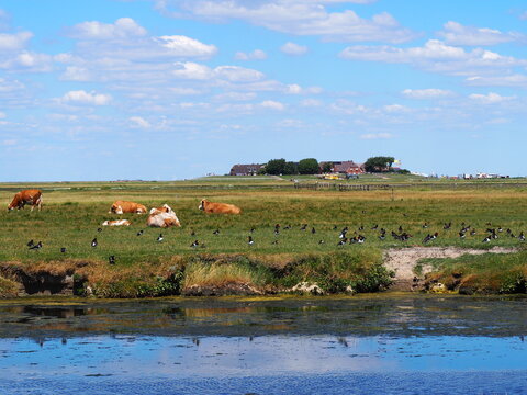 「Warft」の写真素材 | 764件の無料イラスト画像 | Adobe Stock