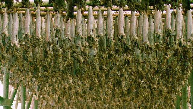 Clipfish Images – Browse 5,055 Stock Photos, Vectors, and Video | Adobe ...