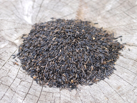 「Ramtil」の画像 - 427 件の Stock 写真、ベクターおよびビデオ | Adobe Stock