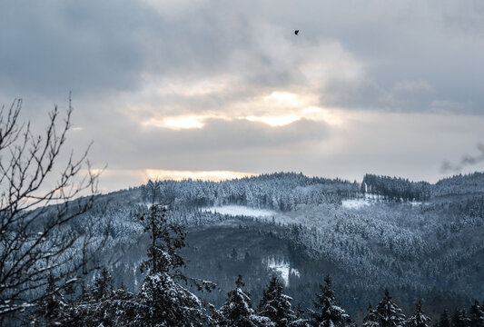 รูปภาพSchneeberge – เลือกดูภาพถ่ายสต็อก เวกเตอร์ และวิดีโอ2,124 | Adobe ...