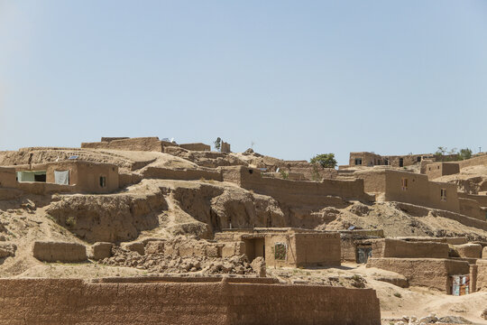 รูปภาพBadghis – เลือกดูภาพถ่ายสต็อก เวกเตอร์ และวิดีโอ240 | Adobe Stock