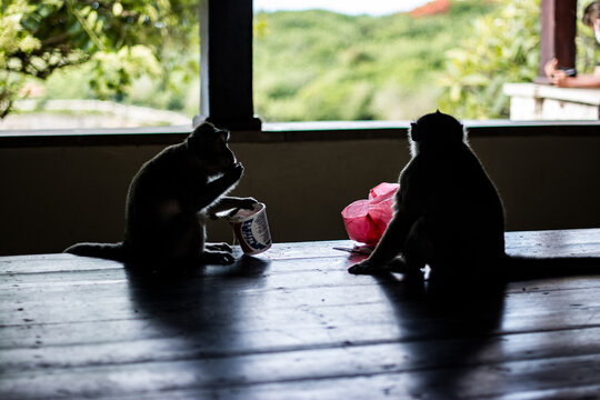 Suddenly Images – Browse 7,107 Stock Photos, Vectors, and Video | Adobe ...