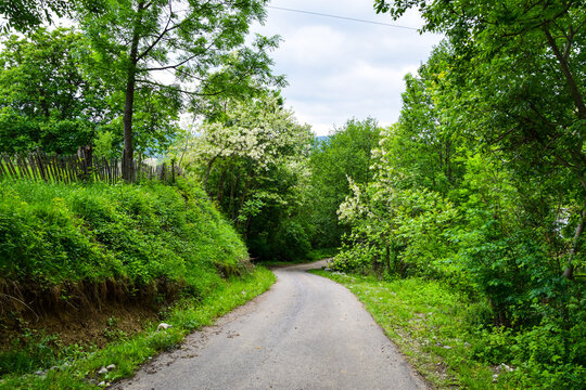 "Romanian Countryside" Images – Browse 70 Stock Photos, Vectors, and ...