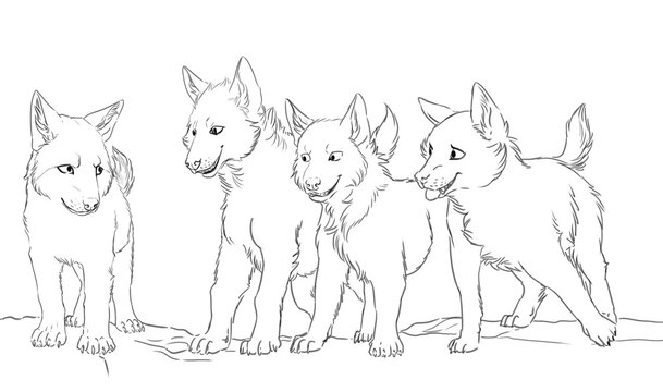 Three Wolf Pups Lineart