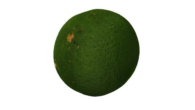 Calamansi Video Footage – Browse 111 HD Stock Video and Footage | Adobe ...