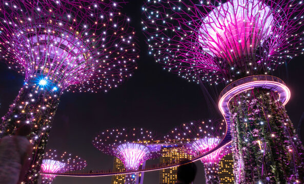 รูปภาพSupertree – เลือกดูภาพถ่ายสต็อก เวกเตอร์ และวิดีโอ5,520 | Adobe Stock