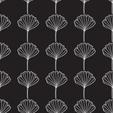Ginkgopsida Images – Browse 37 Stock Photos, Vectors, and Video | Adobe ...