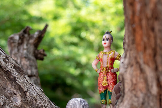 Kuman Images – Browse 78 Stock Photos, Vectors, and Video | Adobe Stock