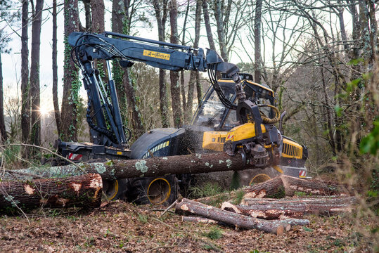 Delimber Images – Browse 58 Stock Photos, Vectors, and Video | Adobe Stock