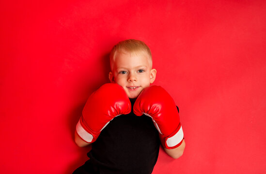 รูปภาพBoks – เลือกดูภาพถ่ายสต็อก เวกเตอร์ และวิดีโอ373 | Adobe Stock