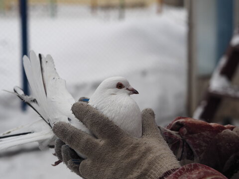 รูปภาพGranivore – เลือกดูภาพถ่ายสต็อก เวกเตอร์ และวิดีโอ2,308 | Adobe Stock
