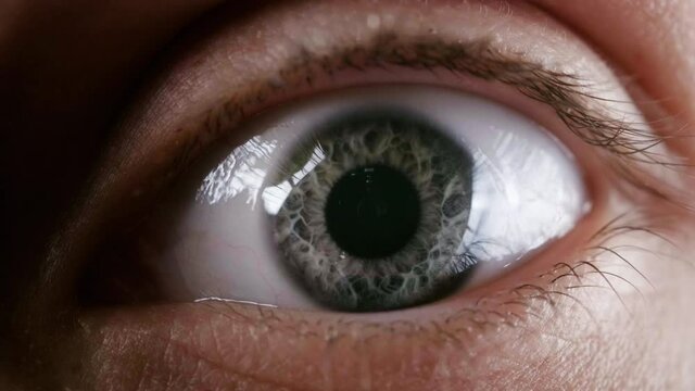 "Grey Eye" Images – Browse 147,349 Stock Photos, Vectors, and Video ...