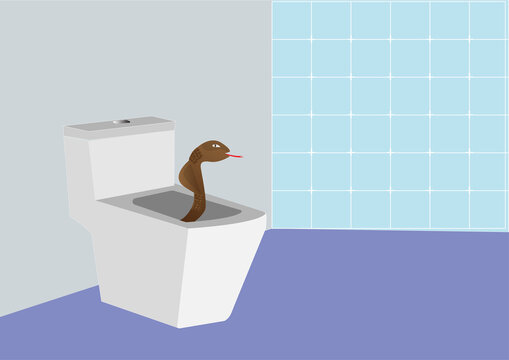 LAS 7 MEJORES IMÁGENES, FOTOS DE ARCHIVO Y VECTORES DE Escusado | Adobe ...