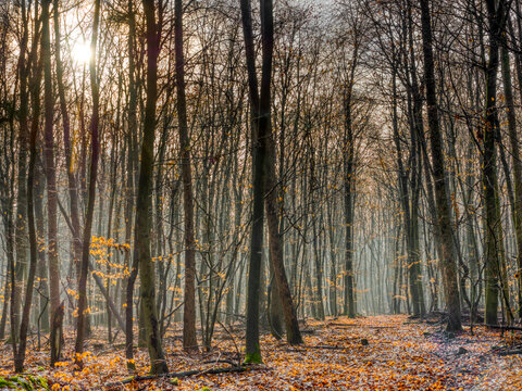 「Sunnily」の画像 - 11,096 件の Stock 写真、ベクターおよびビデオ | Adobe Stock