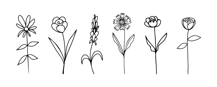 Single Flower Line Drawing Images – Browse 59,592 Stock Photos, Vectors ...
