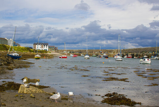 รูปภาพMullaghmore – เลือกดูภาพถ่ายสต็อก เวกเตอร์ และวิดีโอ482 | Adobe Stock