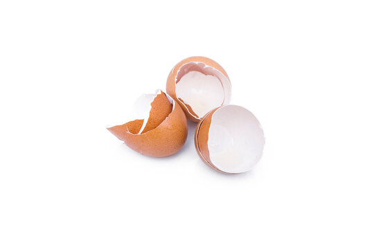 Egg Shell Texture Bilder – Durchsuchen 28,896 Archivfotos ...