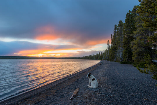 Gueisers-Bilder: Stock-Fotos & -Videos. | Adobe Stock