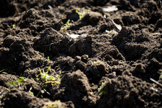 「Erdreich」の写真素材 | 3,679件の無料イラスト画像 | Adobe Stock