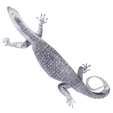 Posend Bilder – Durchsuchen 302 Archivfotos, Vektorgrafiken und Videos ...