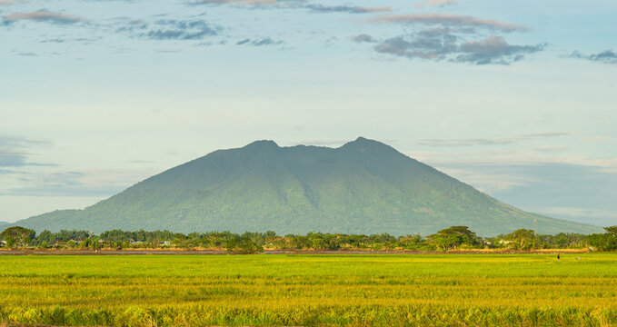 Mount Arayat