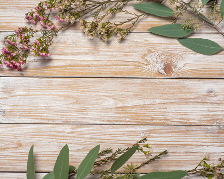 Blumme Bilder – Durchsuchen 96 Archivfotos, Vektorgrafiken und Videos ...