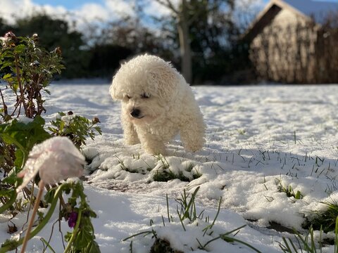 Bobbi Images – Browse 81 Stock Photos, Vectors, and Video | Adobe Stock