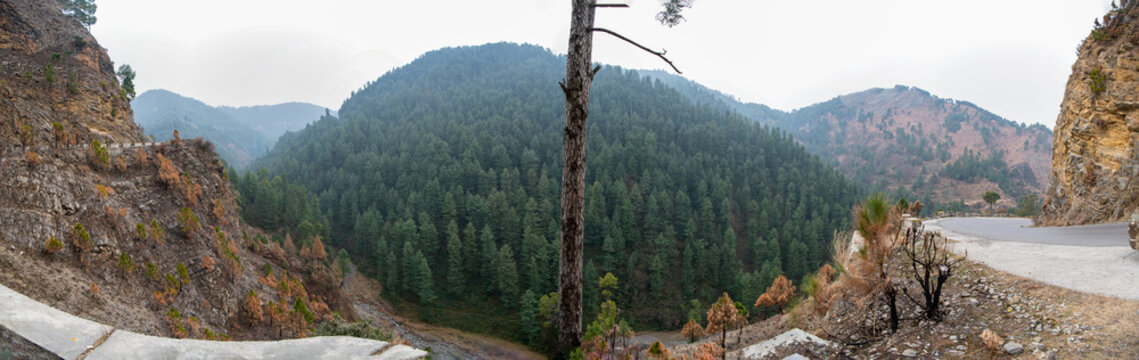 รูปภาพNaran – เลือกดูภาพถ่ายสต็อก เวกเตอร์ และวิดีโอ988 | Adobe Stock