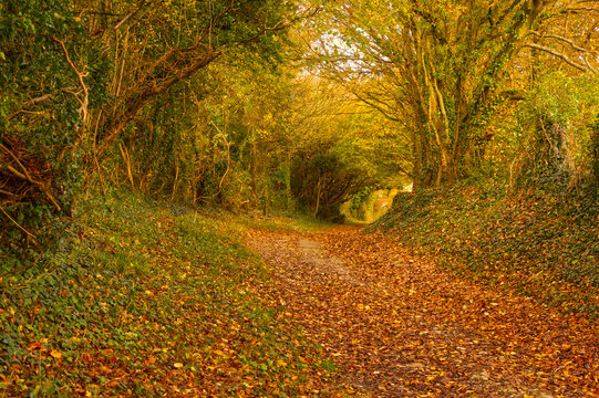 รูปภาพHalnaker – เลือกดูภาพถ่ายสต็อก เวกเตอร์ และวิดีโอ174 | Adobe Stock