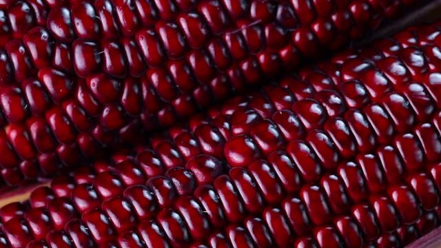 "Purple Corn Images – Browse 19,080 Stock Photos, Vectors, and Video ...