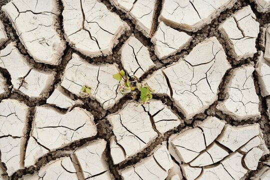 Agricultural Problems Images – HD & 4K Photos Free to Download | PikWizard