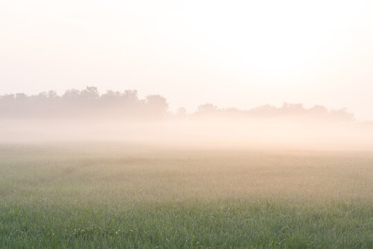 "Low Saturation" Images – Browse 7,382 Stock Photos, Vectors, and Video ...