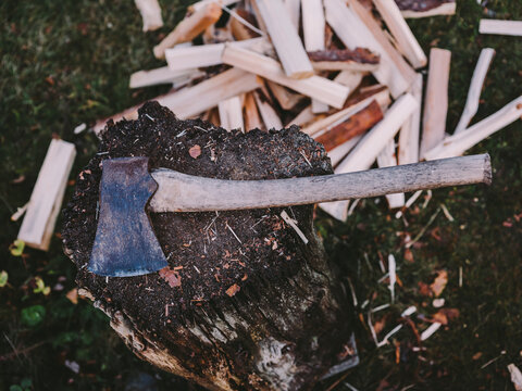 Prepared Stamp Images – Browse 9,228 Stock Photos, Vectors, and Video ...