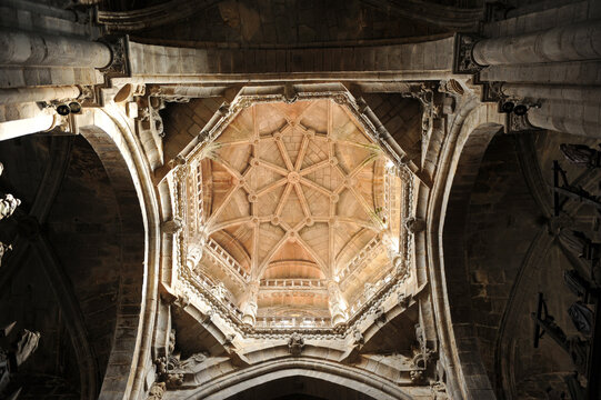 Tiburio Bilder – Durchsuchen 2,551 Archivfotos, Vektorgrafiken und ...