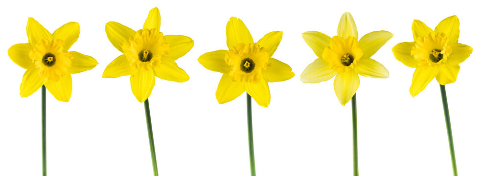 "Five Objects" Bilder – Durchsuchen 2,537 Archivfotos, Vektorgrafiken ...