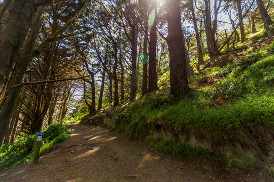 "Mount Victoria" Images – Browse 448 Stock Photos, Vectors, and Video ...