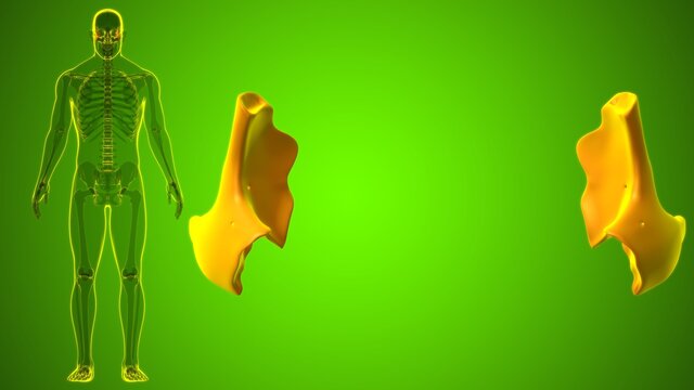 11,728 BESTE Fibel BILDER, STOCK-FOTOS & -VEKTORGRAFIKEN | Adobe Stock