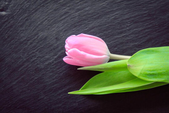 Sandra Pohl photos, images, assets | Adobe Stock