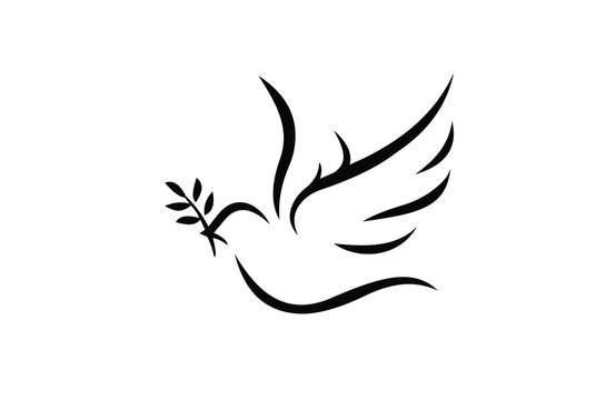 436,529 BESTE Taube BILDER, STOCK-FOTOS & -VEKTORGRAFIKEN | Adobe Stock