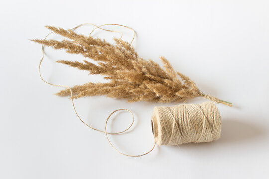 รูปภาพPackthread – เลือกดูภาพถ่ายสต็อก เวกเตอร์ และวิดีโอ3,100 | Adobe ...