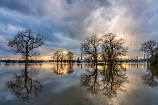 รูปภาพChempark – เลือกดูภาพถ่ายสต็อก เวกเตอร์ และวิดีโอ124 | Adobe Stock