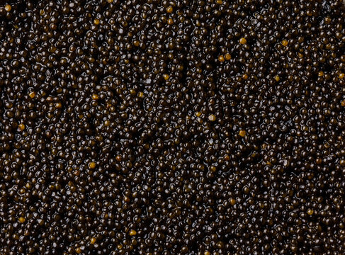 Caviar Texture Images – Browse 10,242 Stock Photos, Vectors, and Video ...