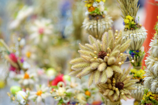 Verbos Bilder – Durchsuchen 239 Archivfotos, Vektorgrafiken und Videos ...